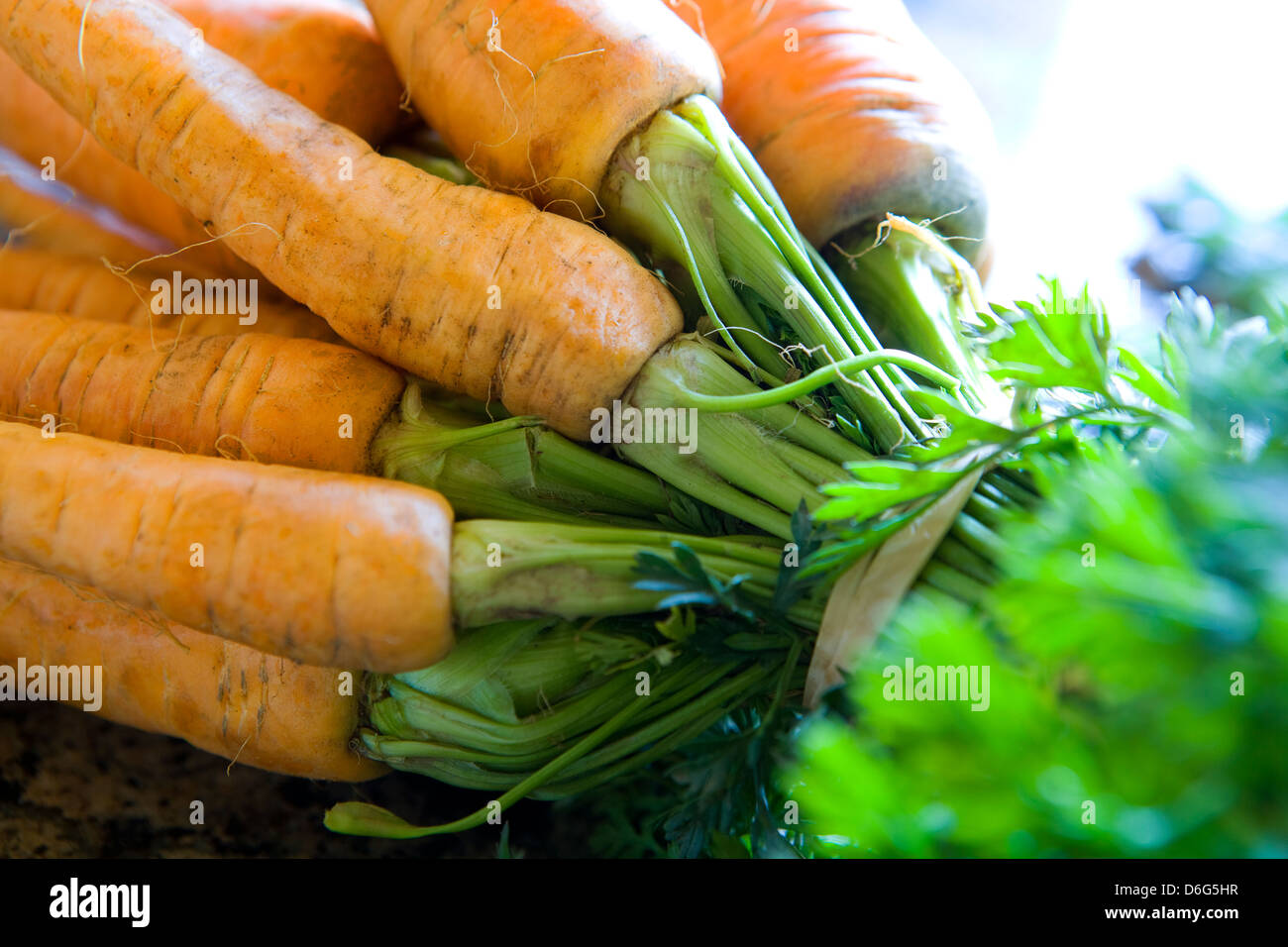 Bunch photos hi-res stock photography and images - Alamy