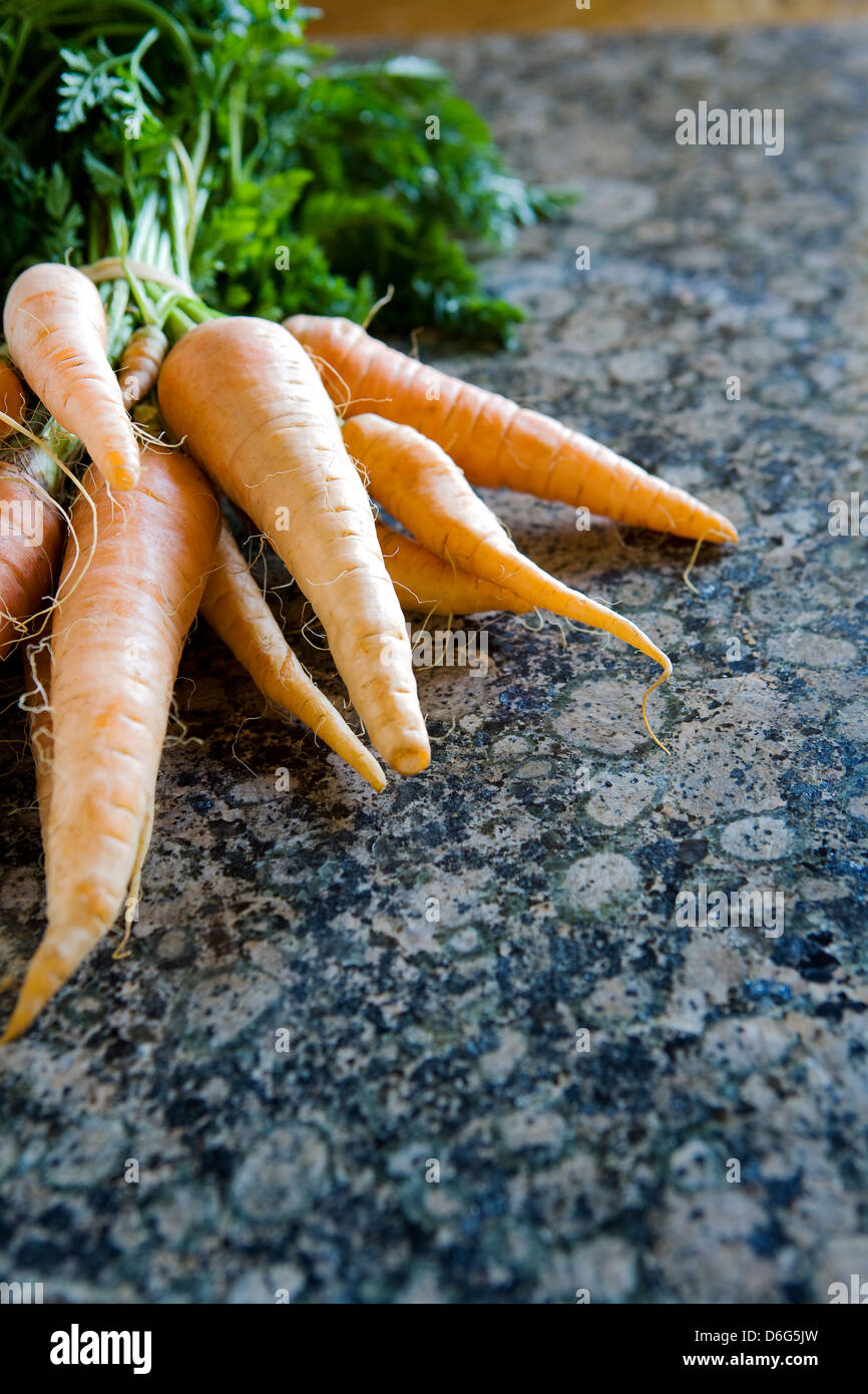 Fresh bunch of carrots Stock Photo - Alamy