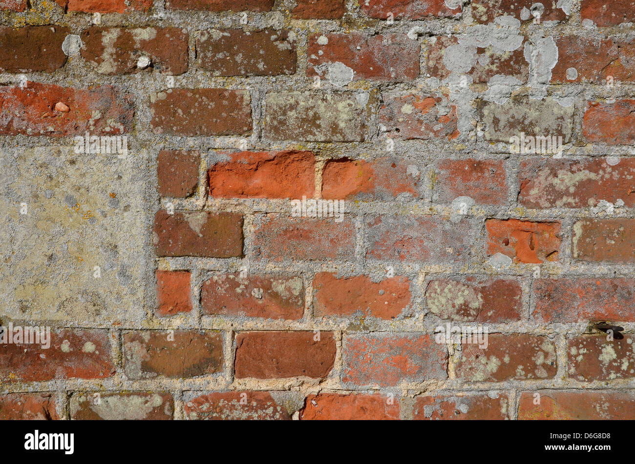 Old brick wall showing lichen growth and spalling from frost damage ...