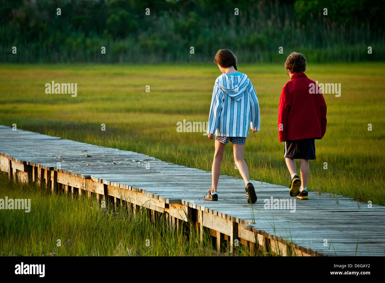 Kids walking on a boardwalk path through a salt marsh Stock Photo - Alamy