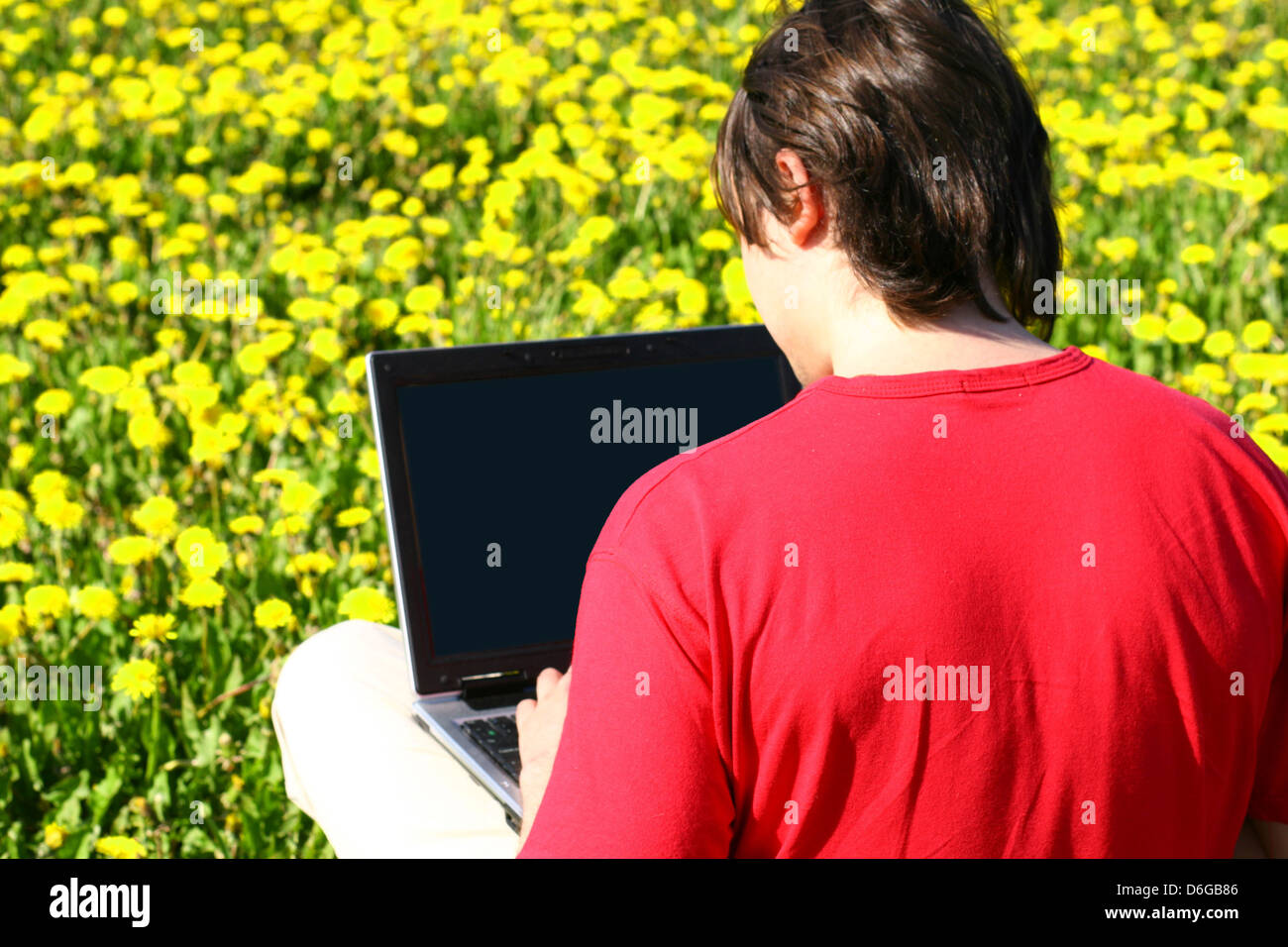 creative business laptop nature work Stock Photo - Alamy