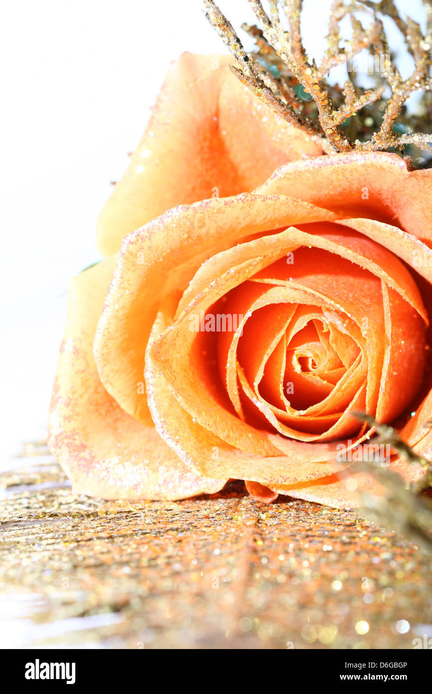 orange rose with golden decoration Stock Photo - Alamy