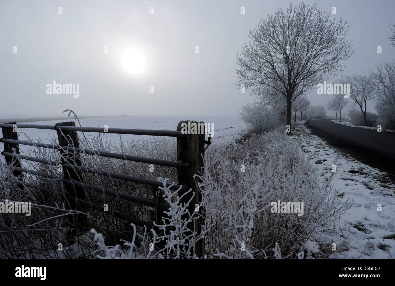 Ice fog moves across the north German landscape near Husum, Germany, 13 ...