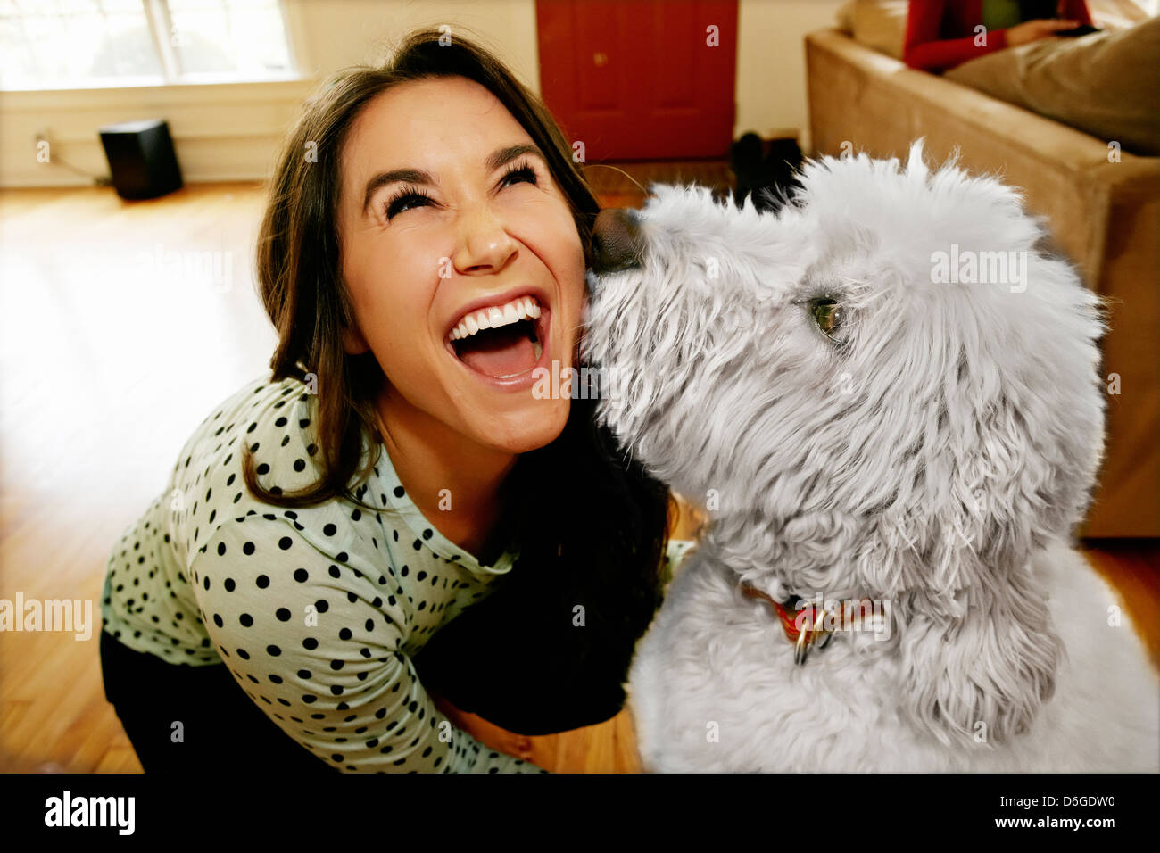 Licking animal hi-res stock photography and images - Alamy