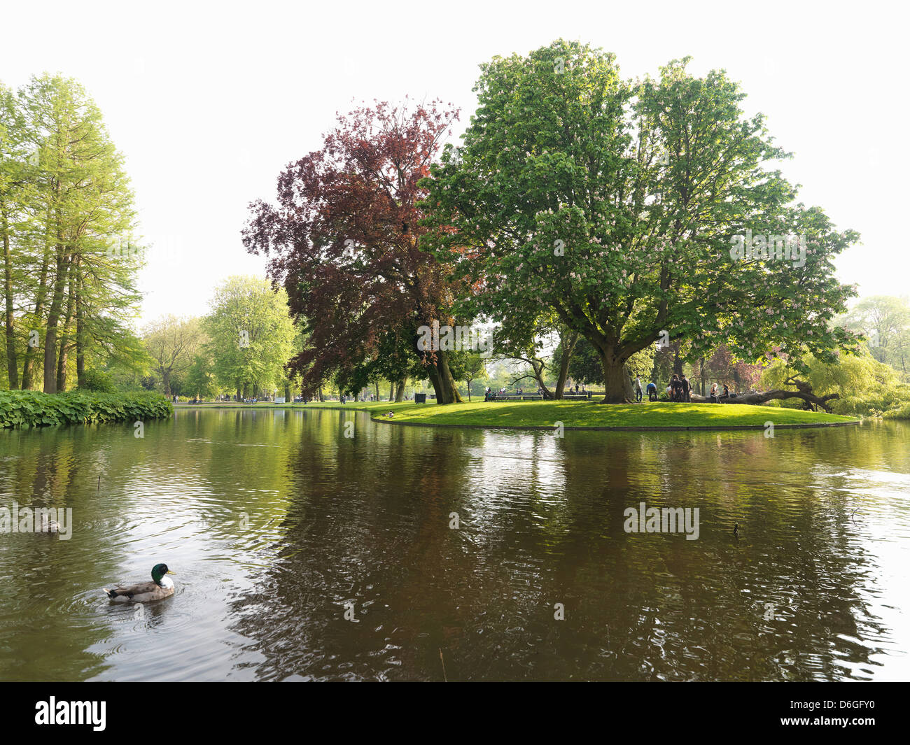 Amsterdam, The Netherlands, pond and trees in the Vondelpark Stock ...