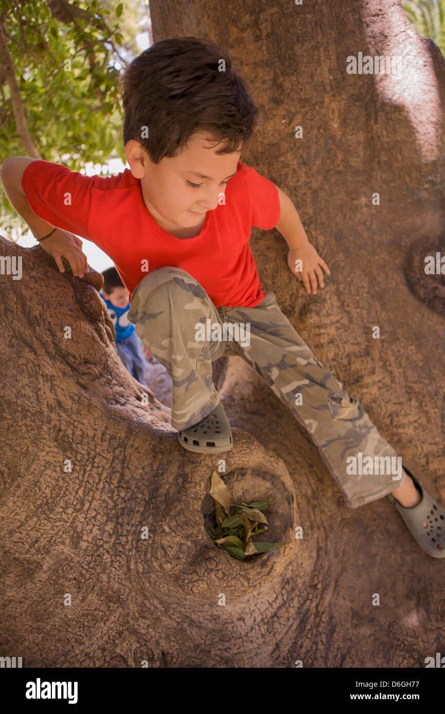 Hispanic boy climbing in tree Stock Photo - Alamy