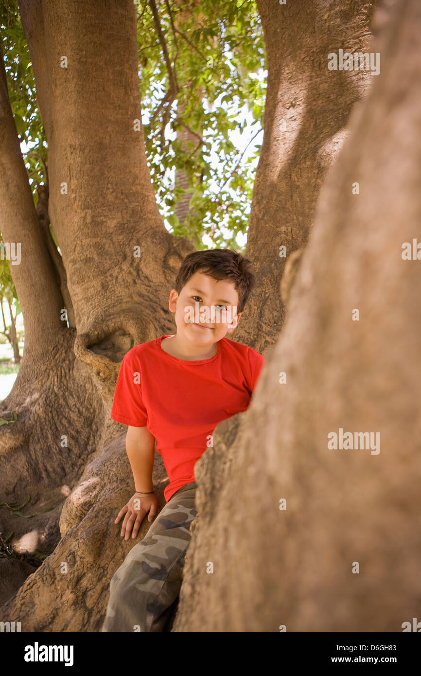 Hispanic boy climbing in tree Stock Photo - Alamy