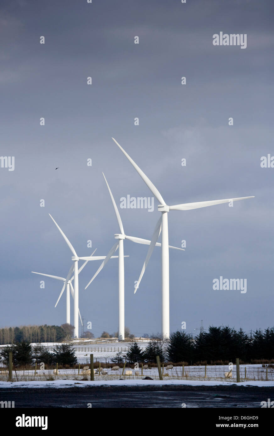 Little scotland hi-res stock photography and images - Alamy