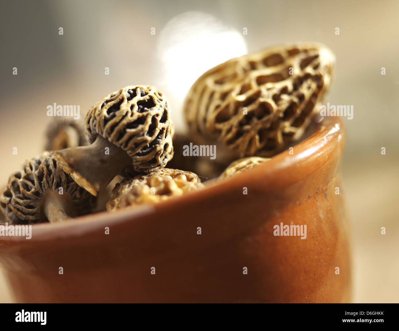 Morrells hi-res stock photography and images - Alamy