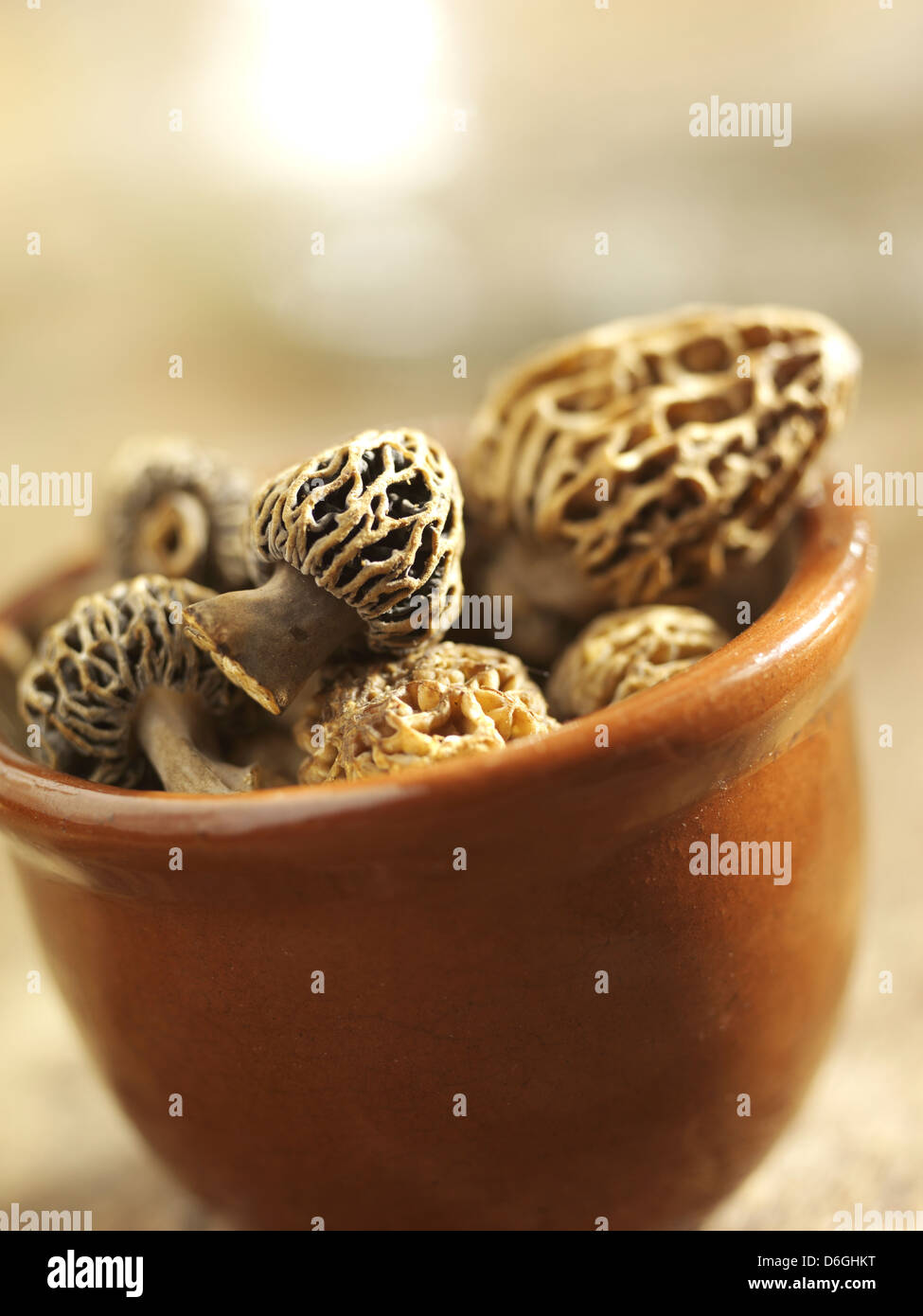 Morrells hi-res stock photography and images - Alamy