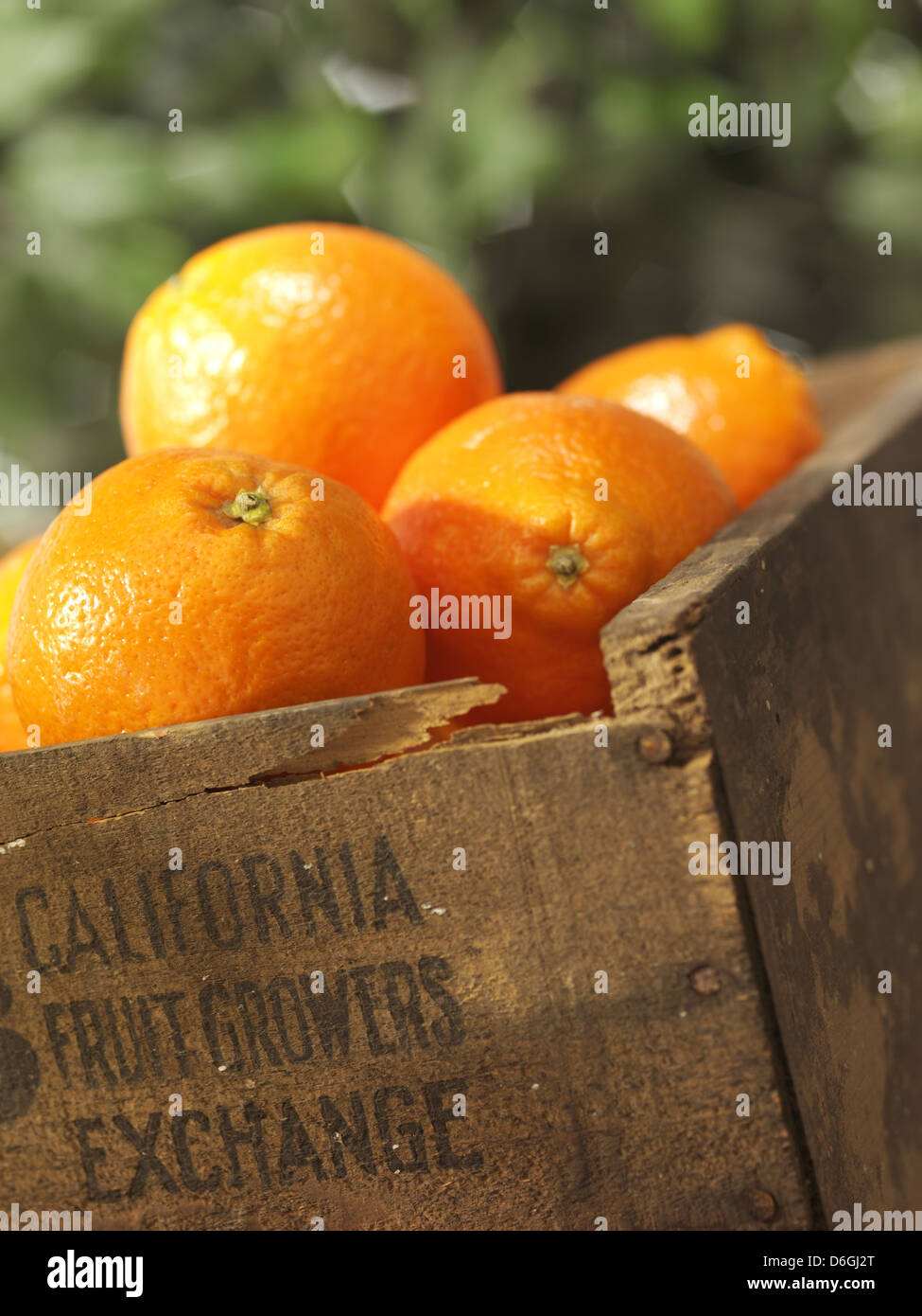 Box of Oranges Stock Photo - Alamy