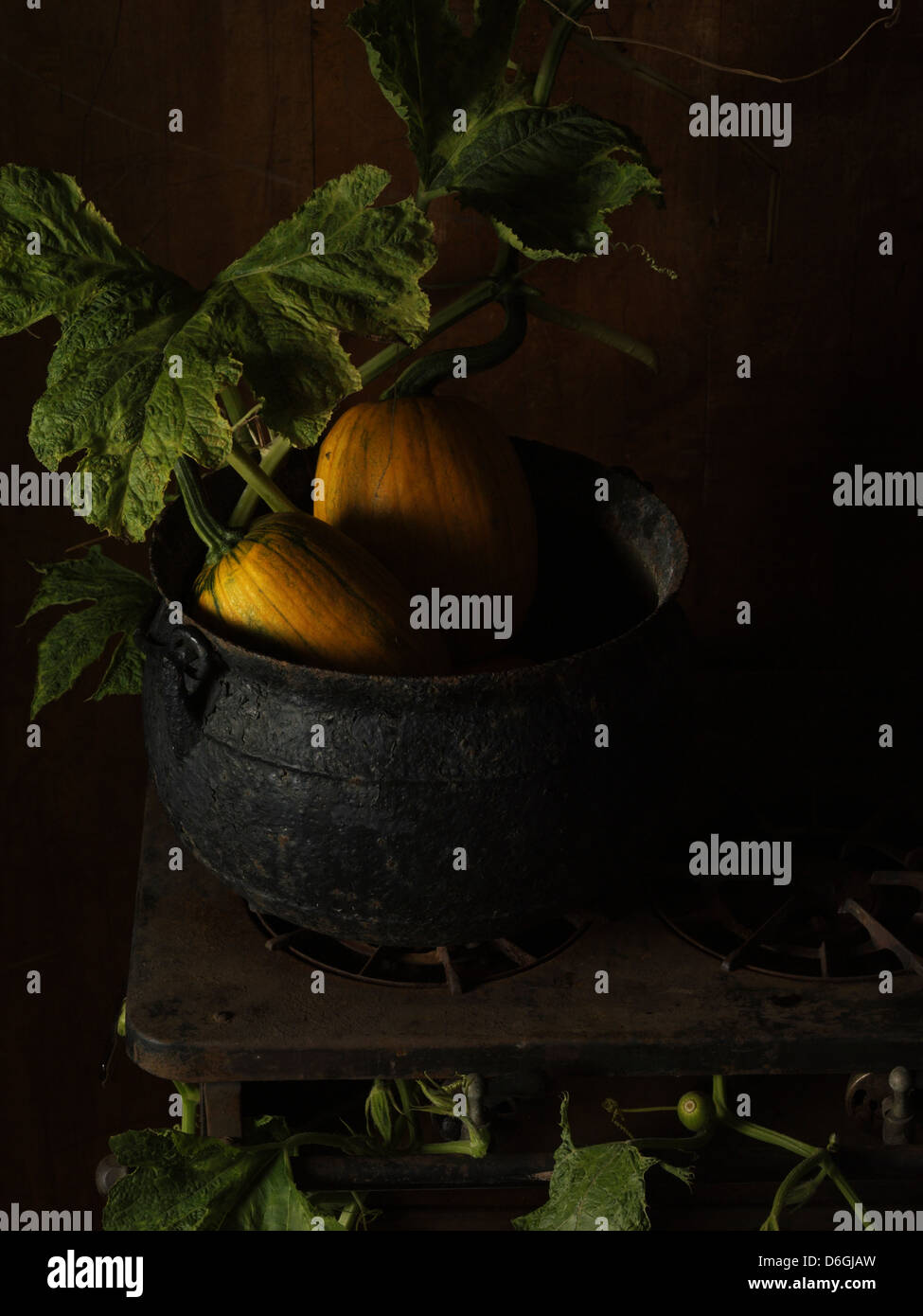 Iron gourd hi-res stock photography and images - Alamy