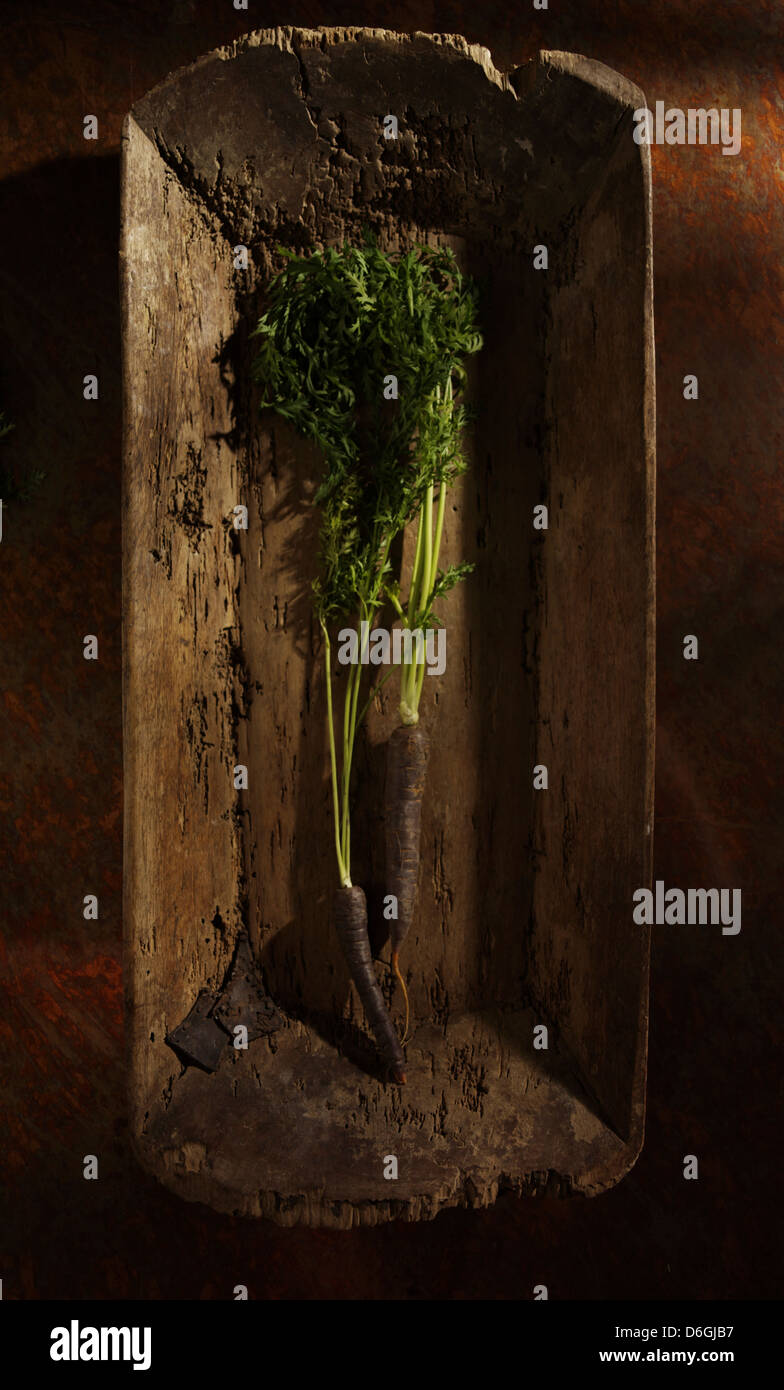 Raw carrots haulm hi-res stock photography and images - Alamy
