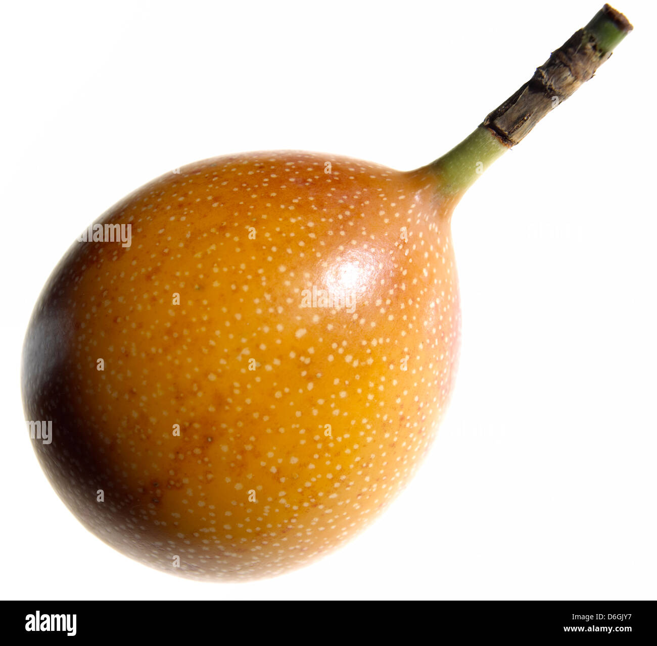 Tamarillo tree Cut Out Stock Images & Pictures - Alamy