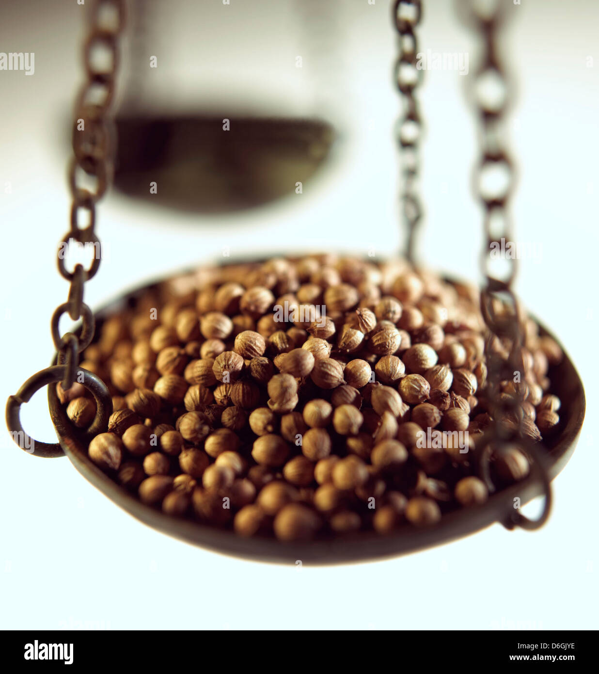 Seed scale hi-res stock photography and images - Alamy