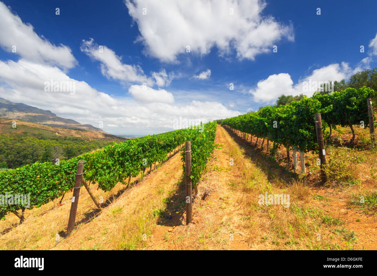 Simonsberg Mountain Range High Resolution Stock Photography and Images ...