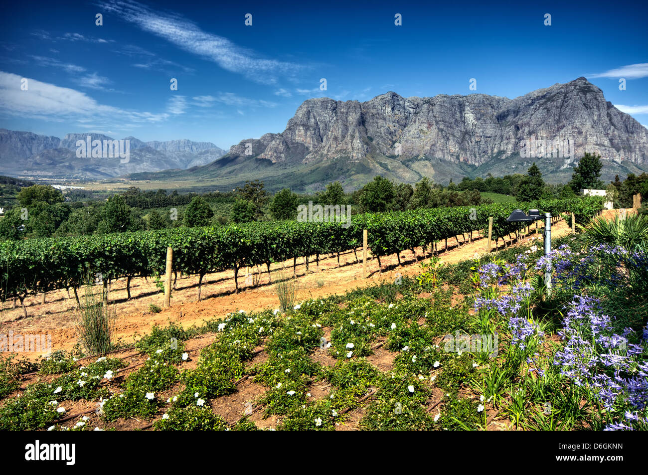 Simonsberg mountains and winelands hi-res stock photography and images ...