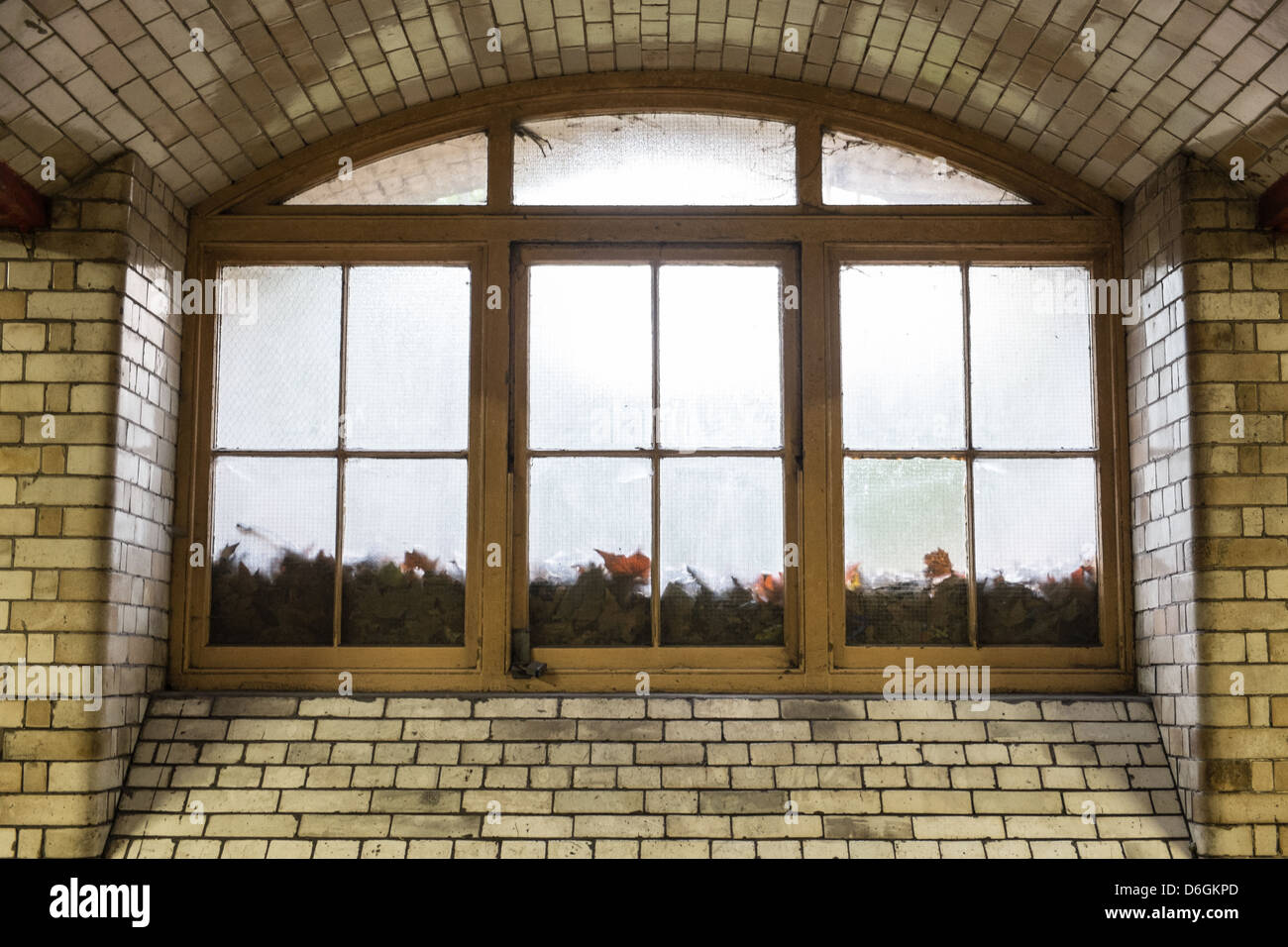 Wooden framed window with diffused light showing the build up of leaves ...