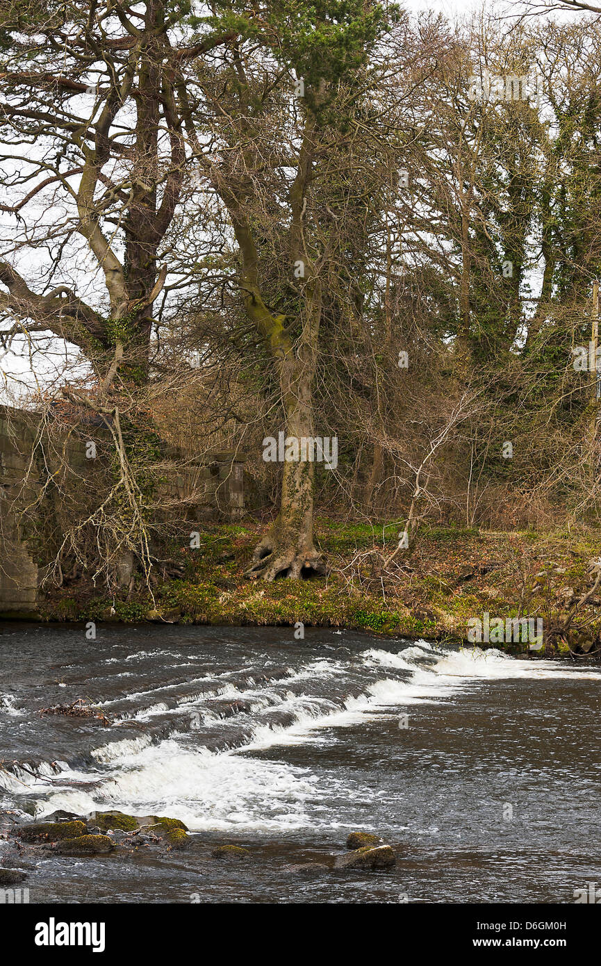 The River Derwent Flowing Over Weir at Leadmill Bridge near Hathersage ...