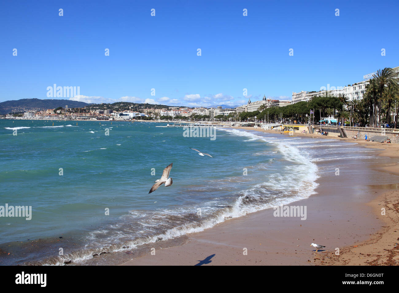 The beach in Cannes, French Riviera, France Stock Photo - Alamy