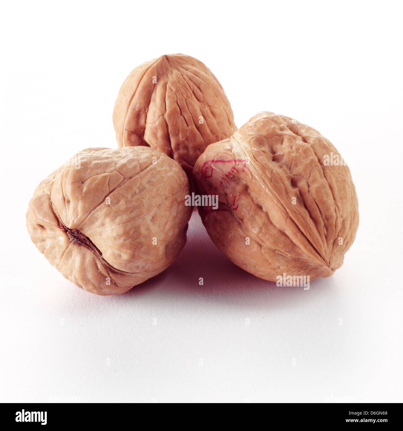 Three Walnuts in their shell Stock Photo - Alamy