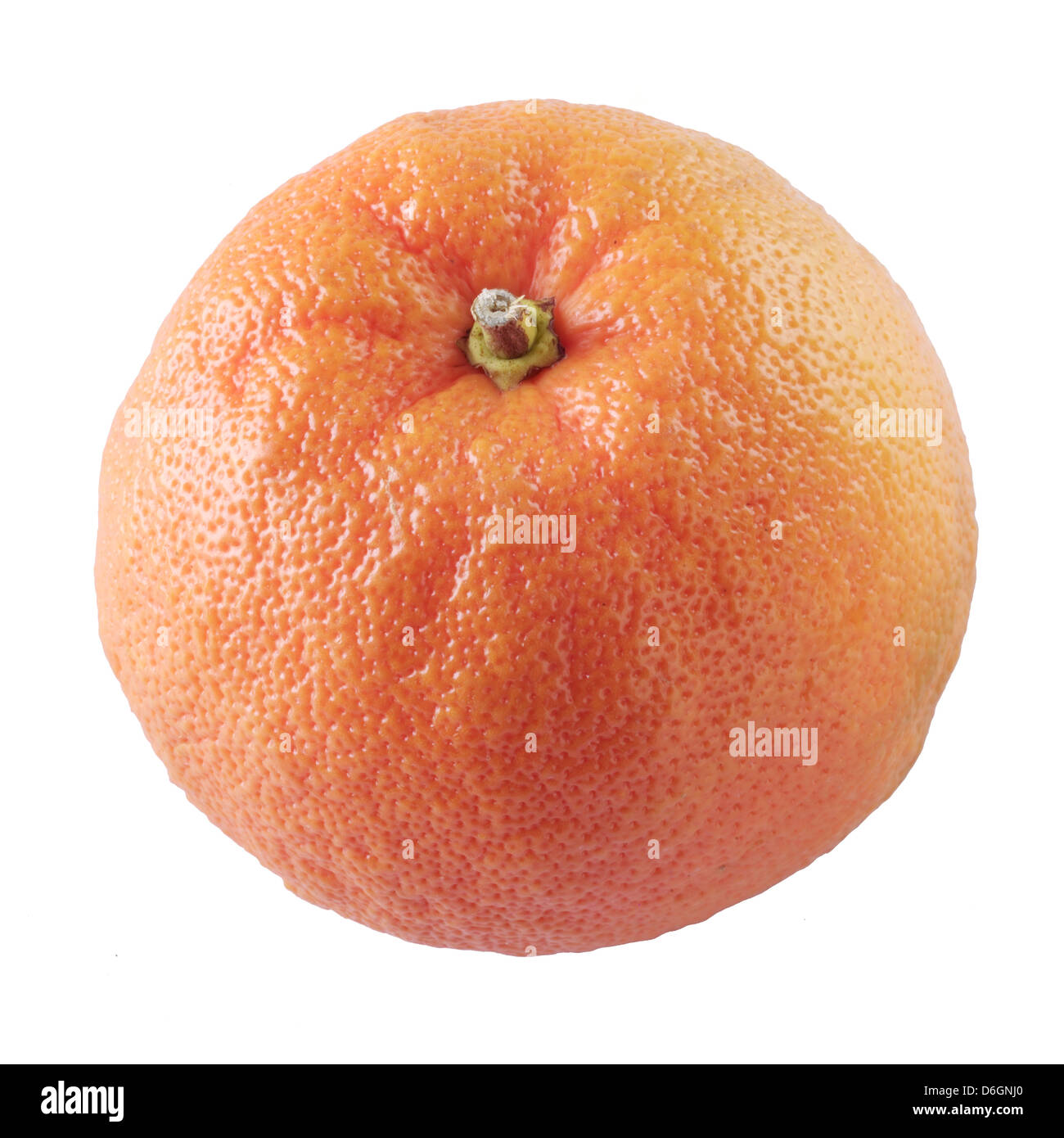 Seville Fruit Cut Out Stock Images & Pictures - Alamy