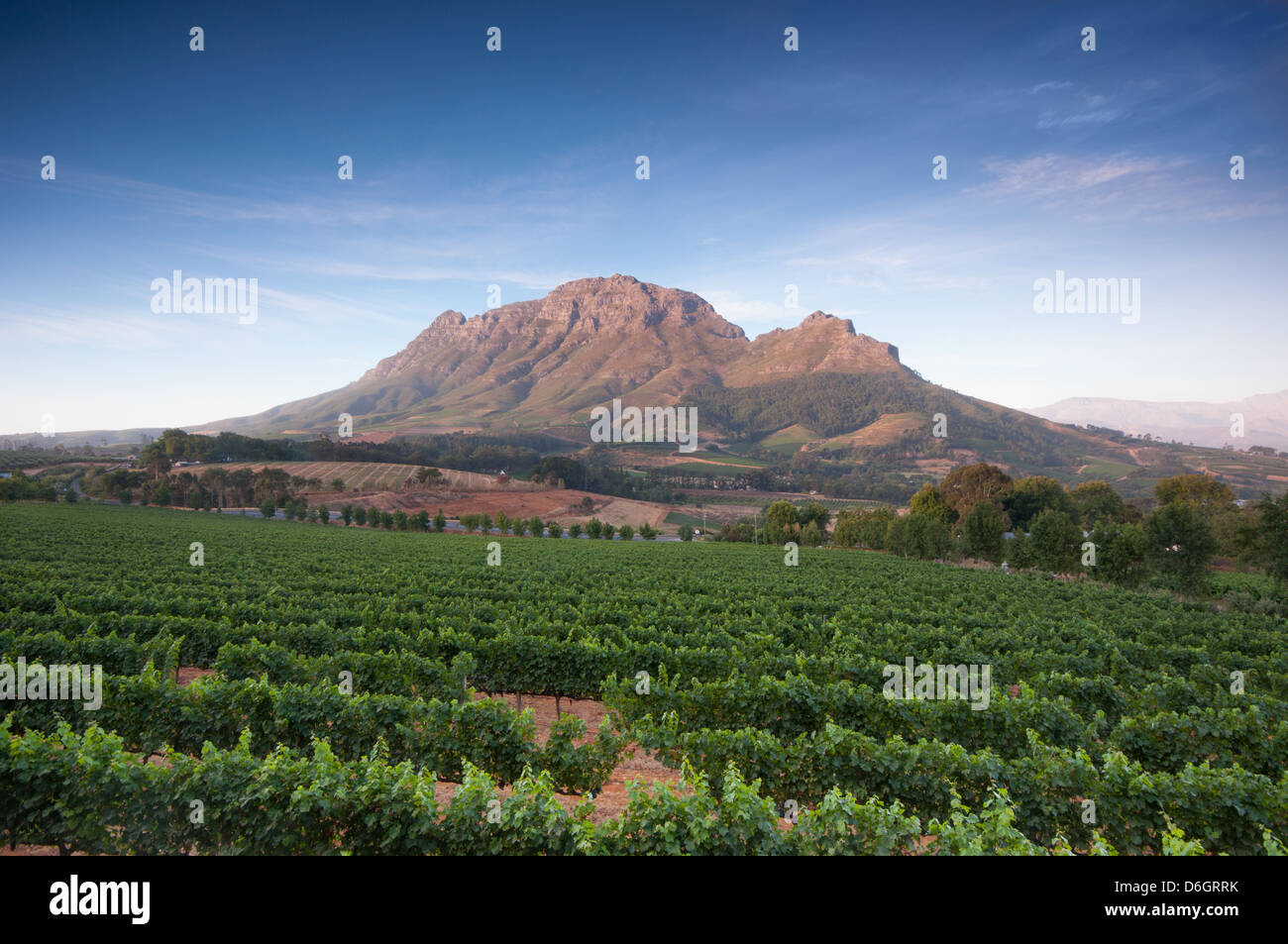Simonsberg Mountain Range High Resolution Stock Photography and Images ...