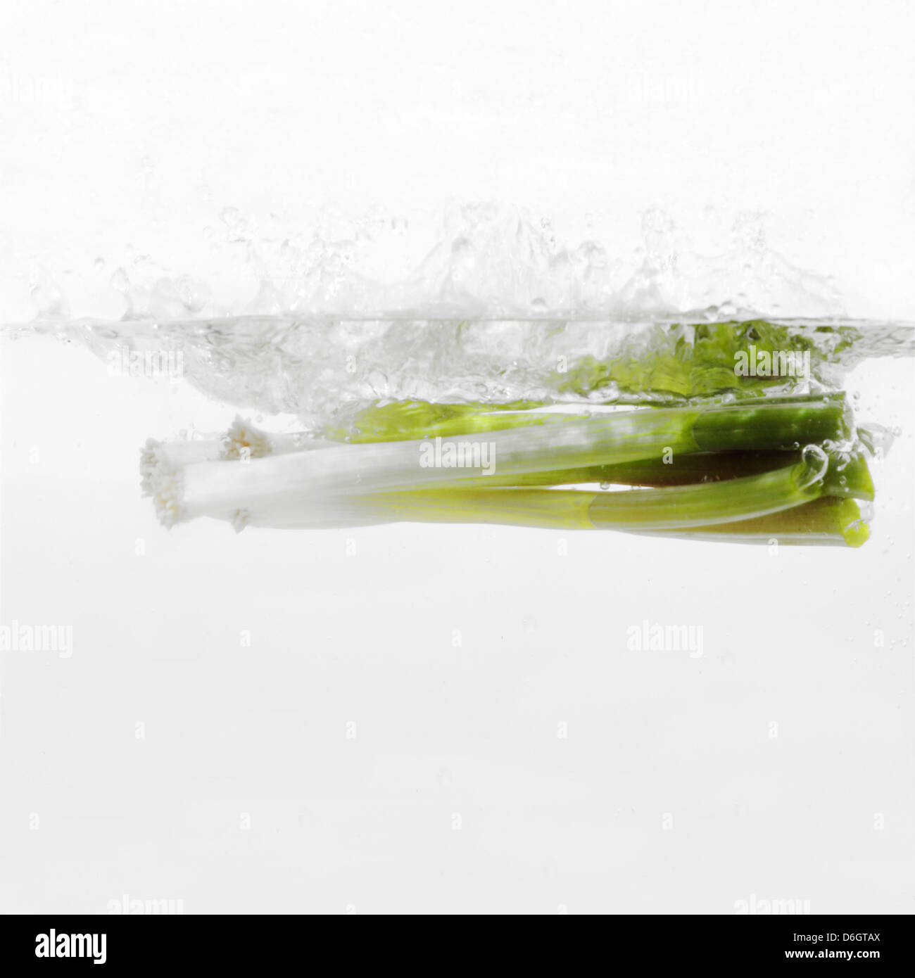 Spring Onions splashing into water Stock Photo - Alamy