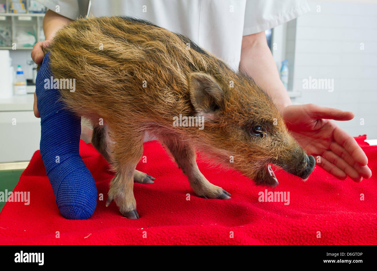 Broken Family Photo High Resolution Stock Photography and Images - Alamy
