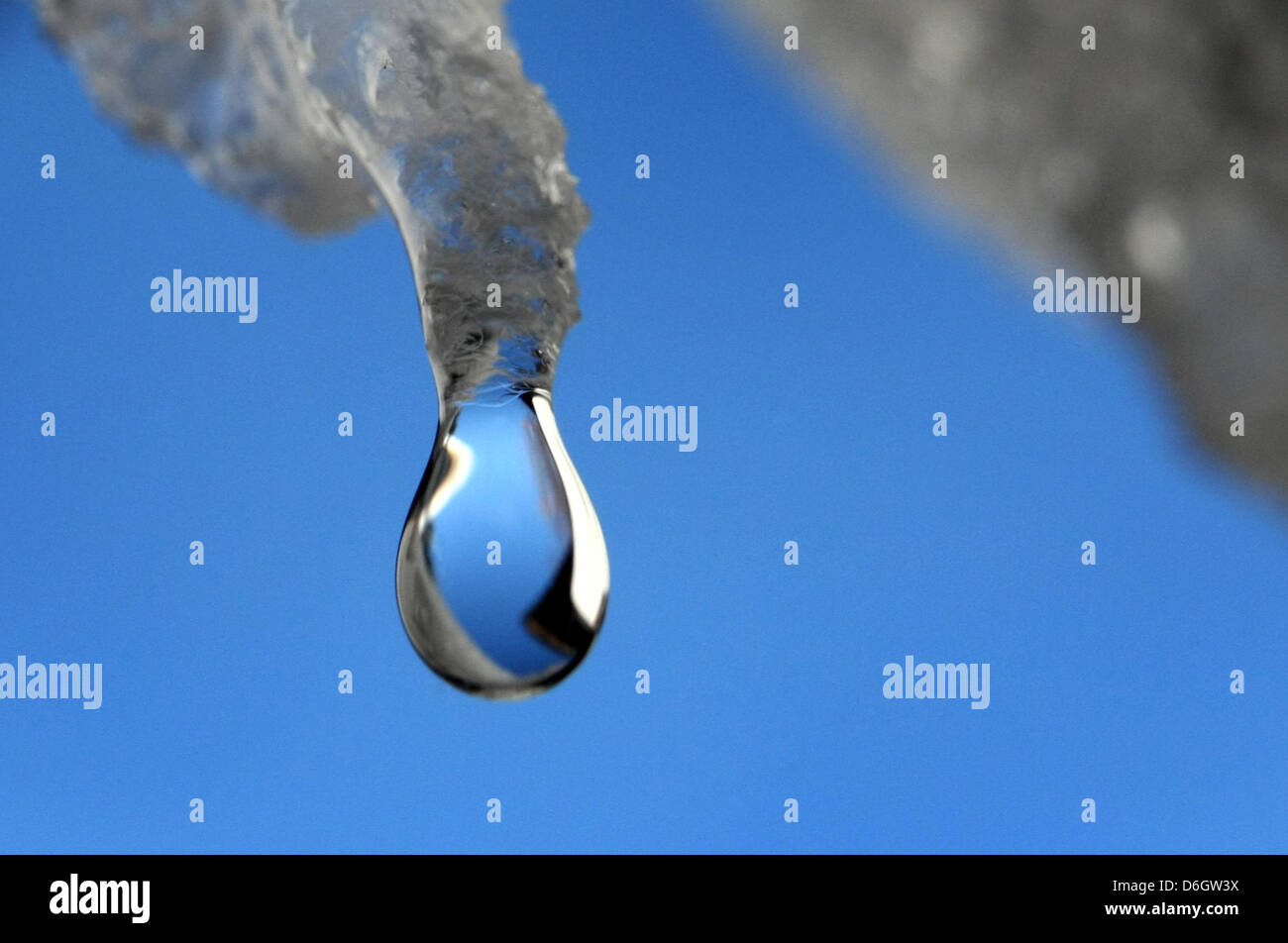 A drop of water drips from a small icicle near Wertach, Germany, 24 ...
