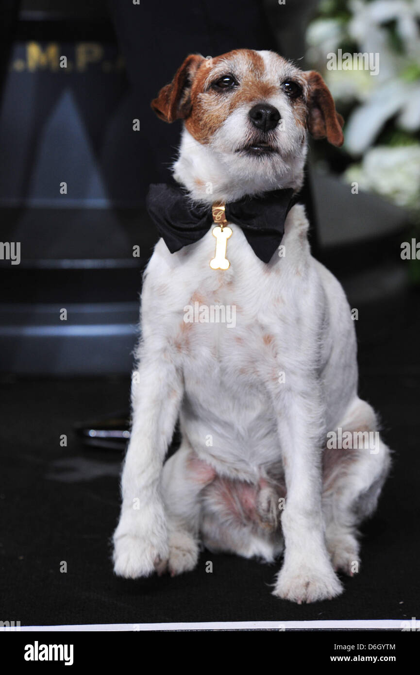Uggie, the dog from the film "The Artist", pose in the photo press room ...