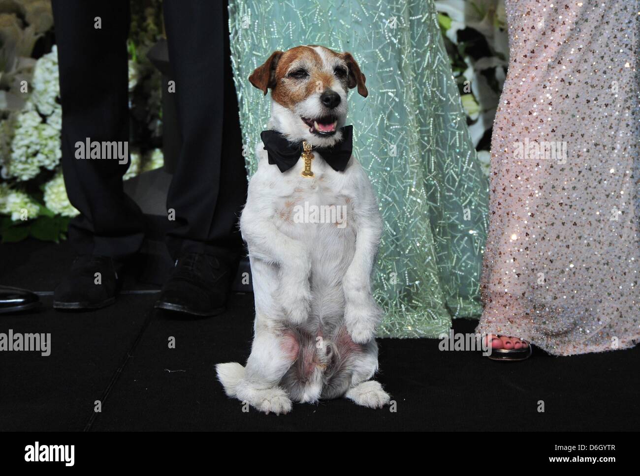 Uggie, the dog from the film "The Artist", pose in the photo press room ...
