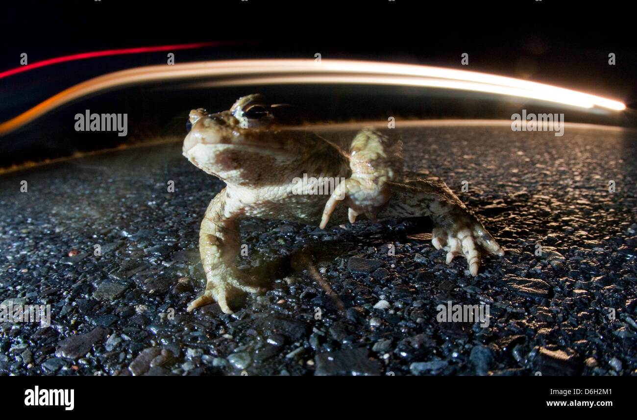 FILE, ILLUSTRATION - An illustrated archive picture dated 21 March 2010 ...