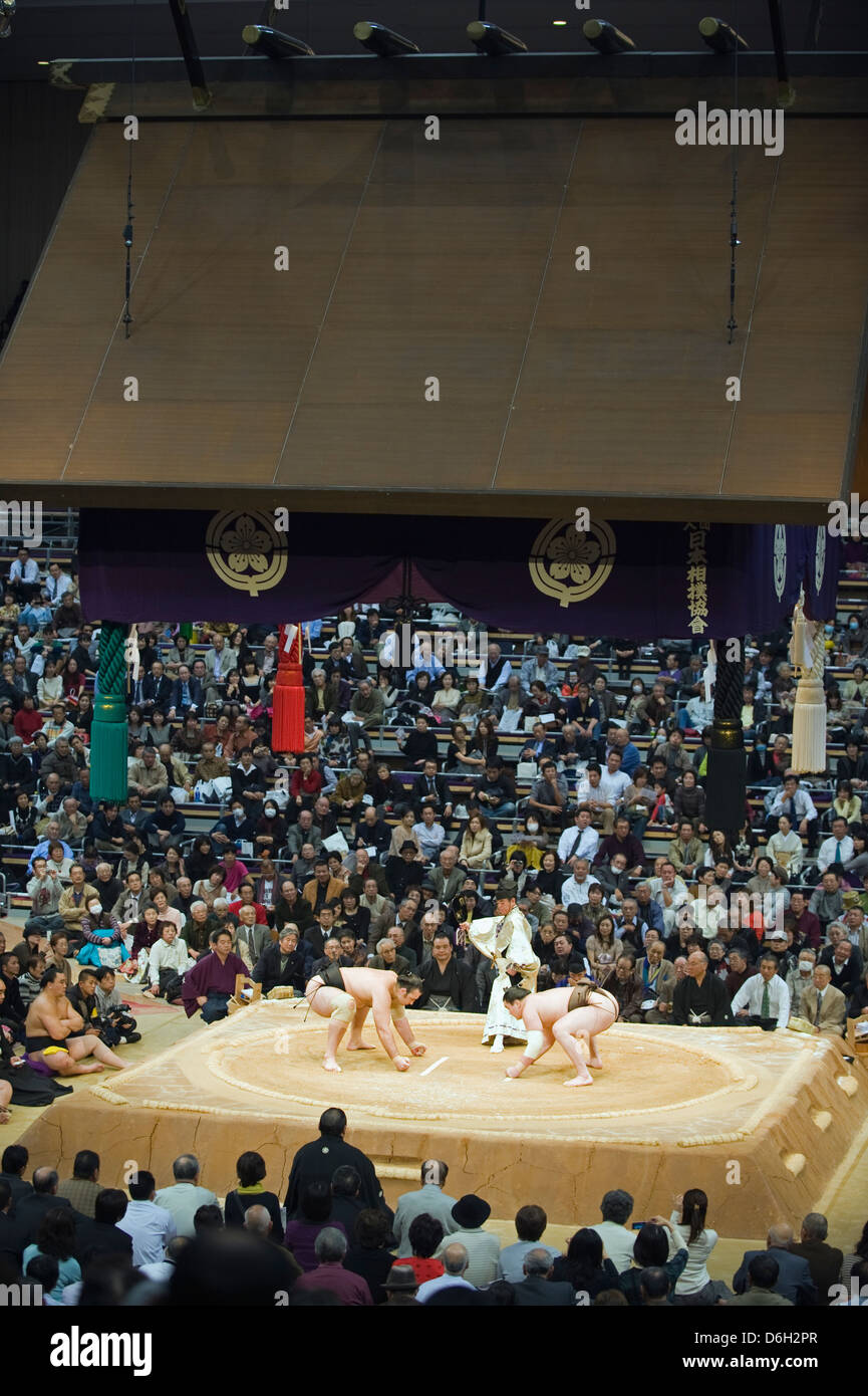 Bout sumo hi-res stock photography and images - Alamy