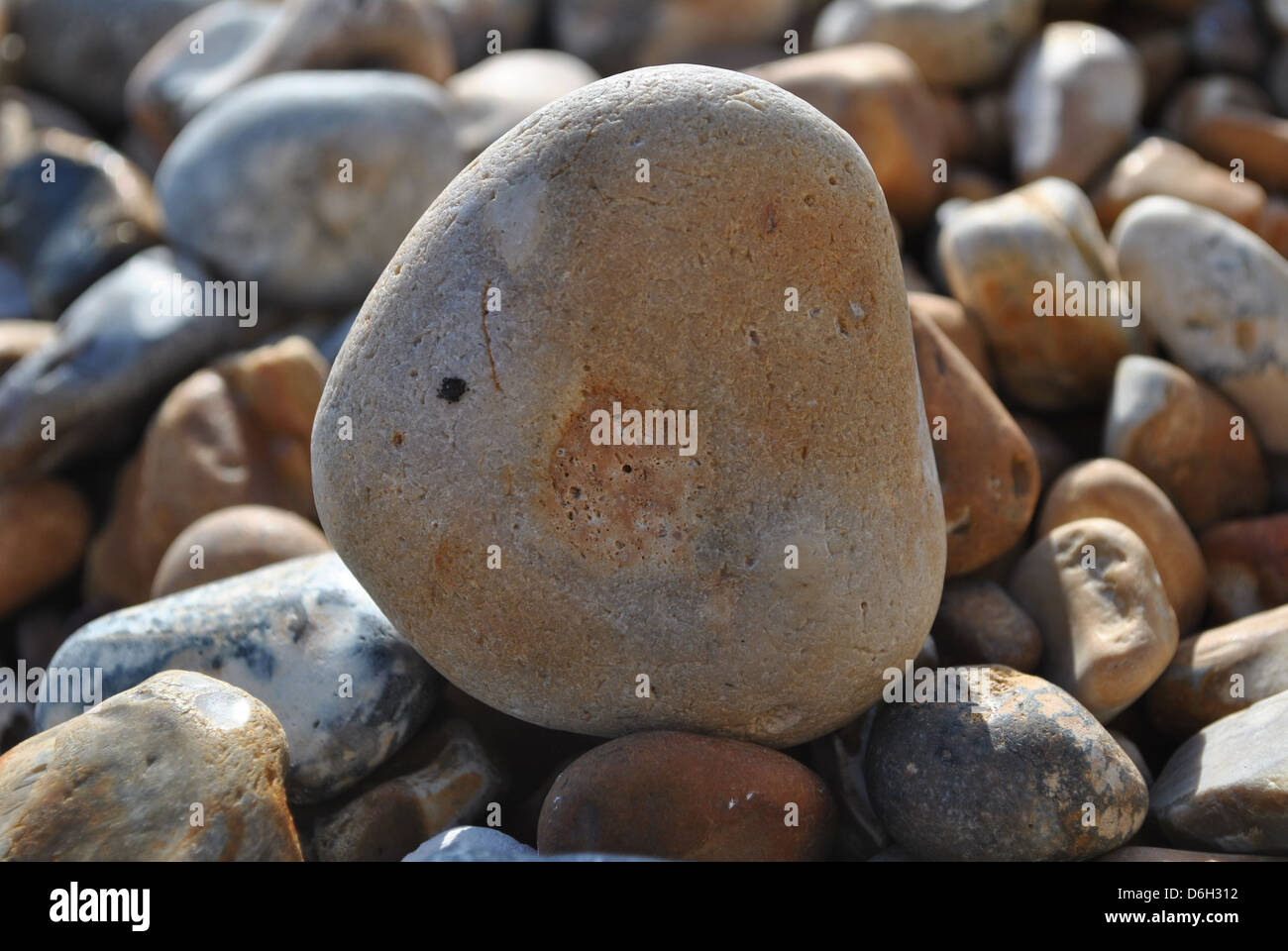 Stone on Brighton beach Stock Photo - Alamy