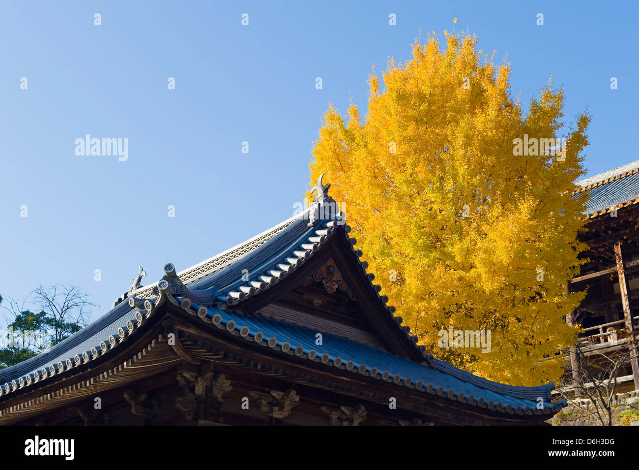 Miyajima Island, Hiroshima, Hiroshima prefecture, Japan, Asia Stock ...