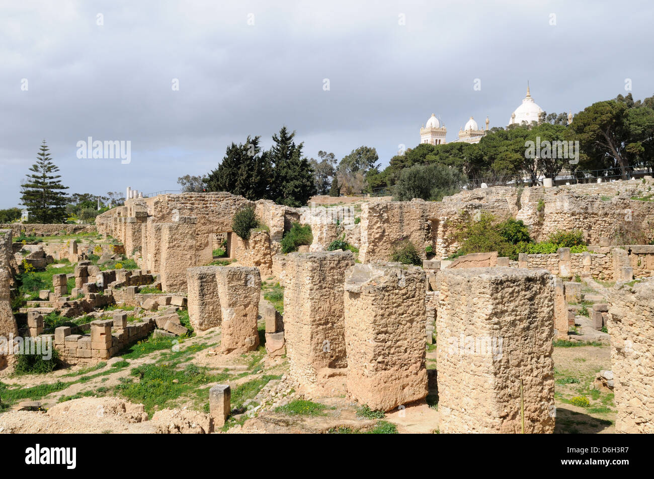 Punic carthage hi-res stock photography and images - Alamy