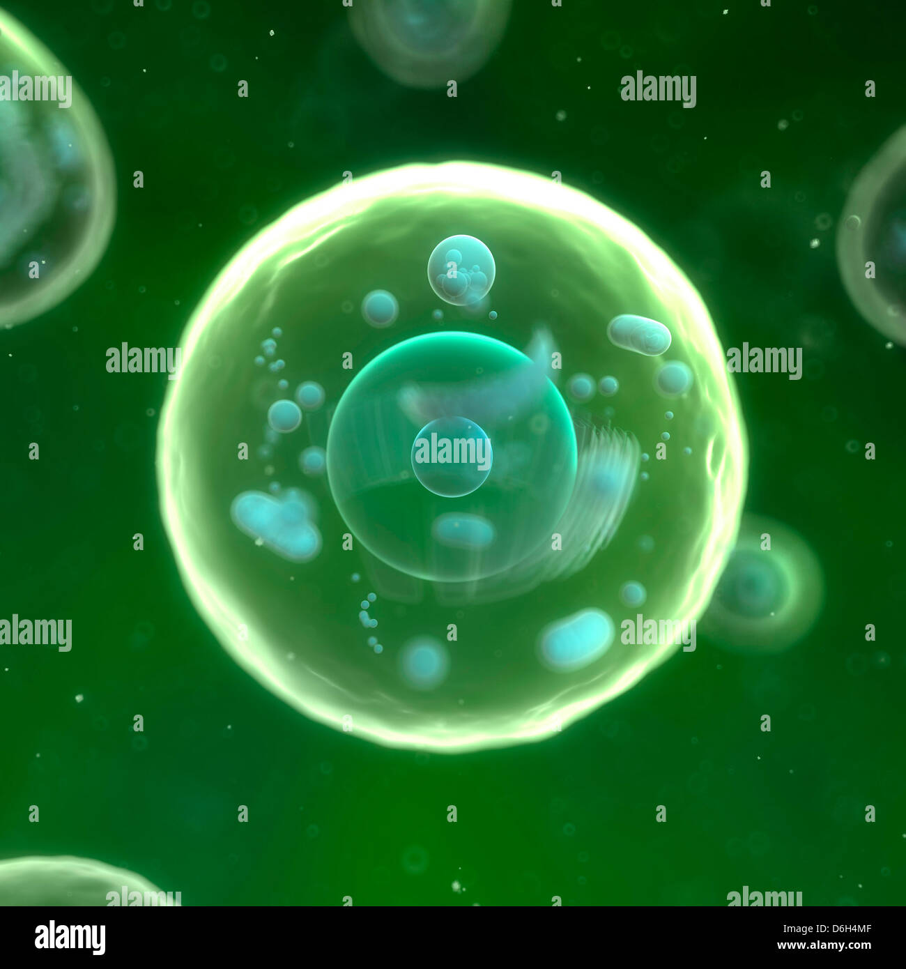 Cool Animal Cell Pictures