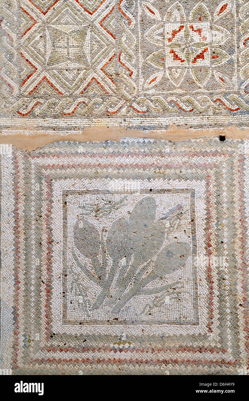Ancient Mosaic in the Punic ruins of Byrsa Hill Carthage Tunisia Stock ...