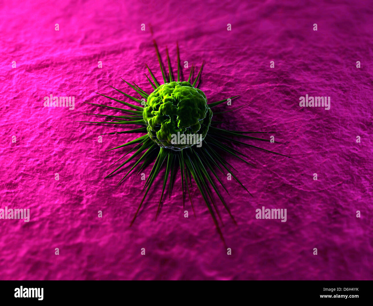 Cancer cell, artwork Stock Photo - Alamy