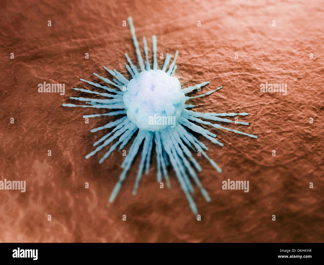 Cancer cell hi-res stock photography and images - Alamy