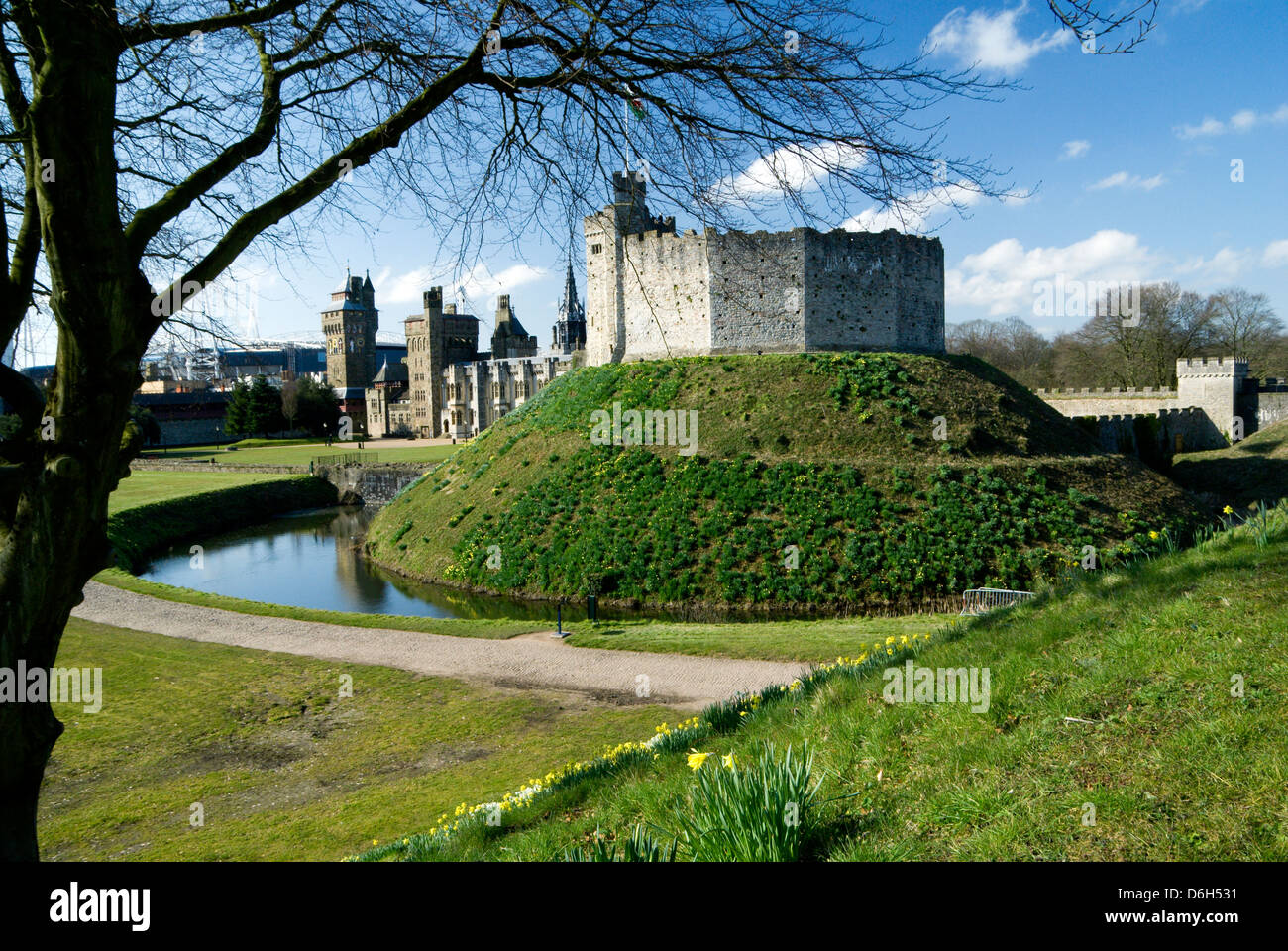 Moat daffodils hi-res stock photography and images - Alamy
