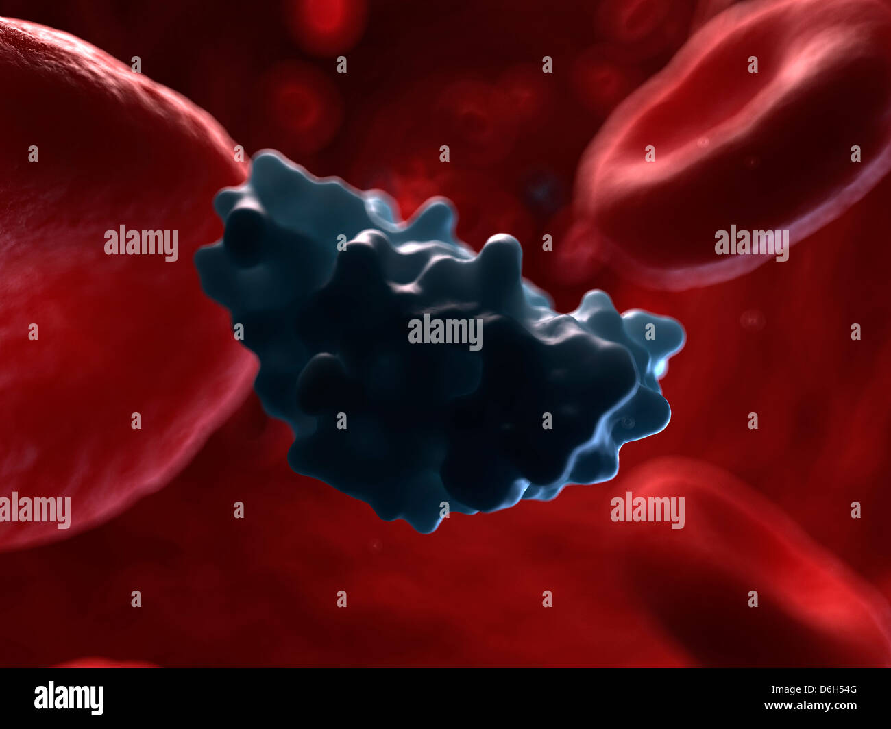 Circulating insulin, artwork Stock Photo - Alamy
