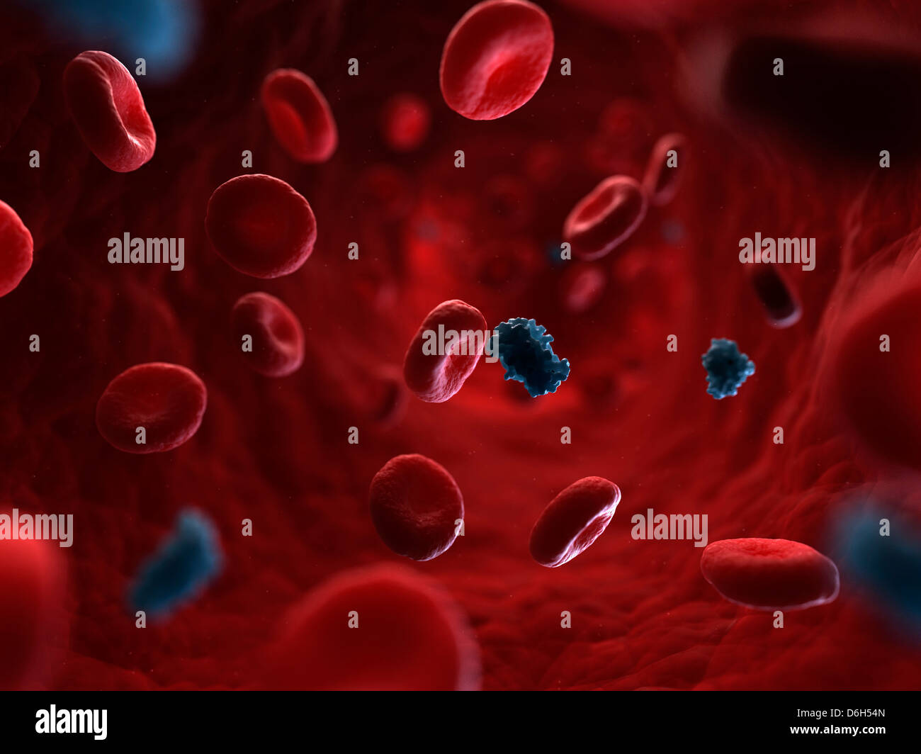 Circulating insulin, artwork Stock Photo - Alamy