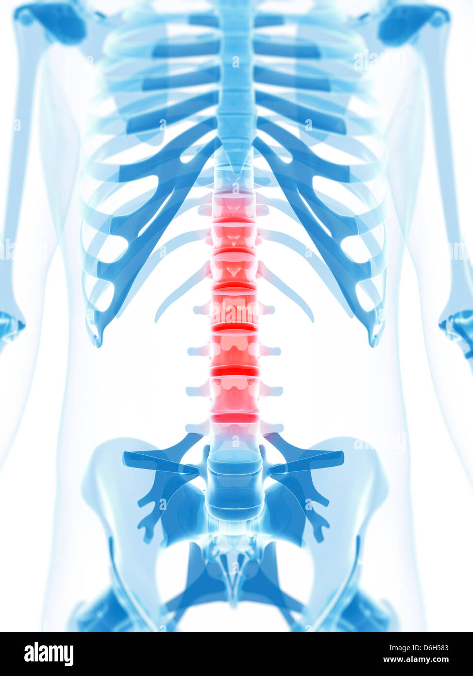 Lower back pain illustration hi-res stock photography and images - Alamy