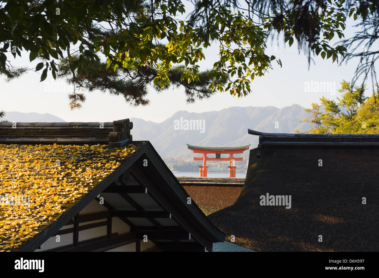 Miyajima Island, Hiroshima, Hiroshima prefecture, Japan, Asia Stock ...