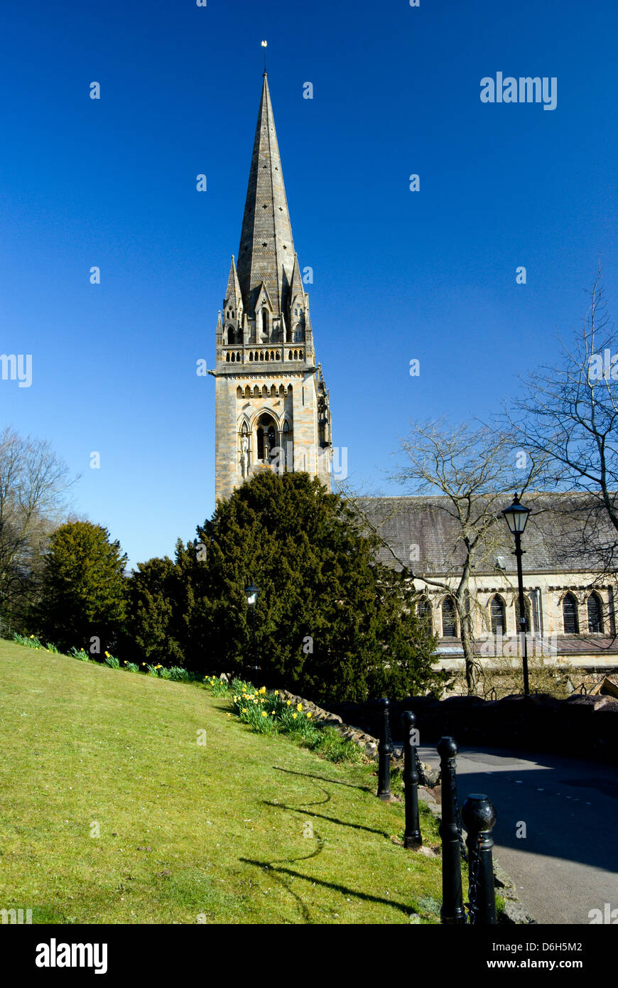 llandaff cathedral and daffodils, llandaff, cardiff, wales, uk Stock ...