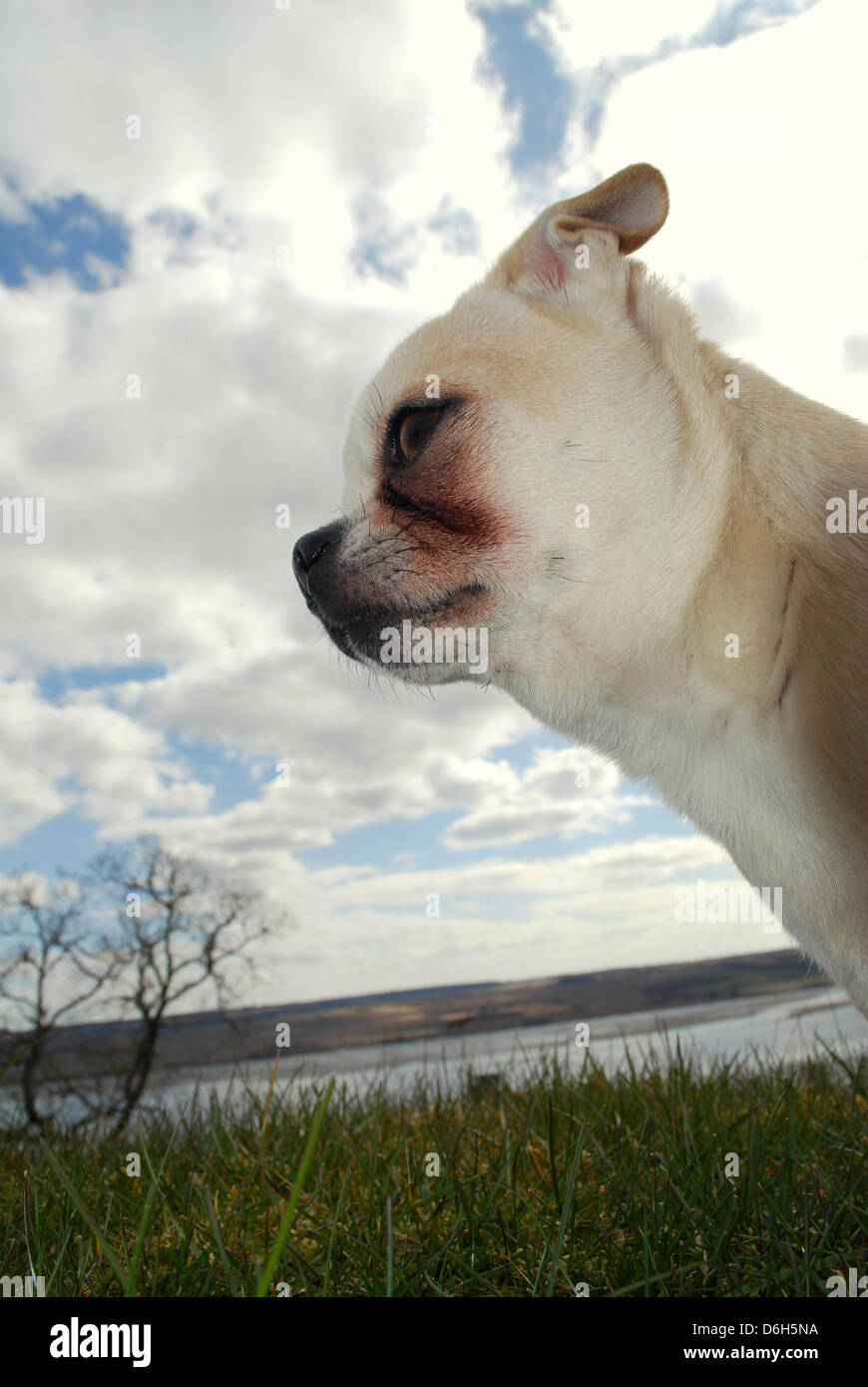 Bigger than life hi-res stock photography and images - Alamy