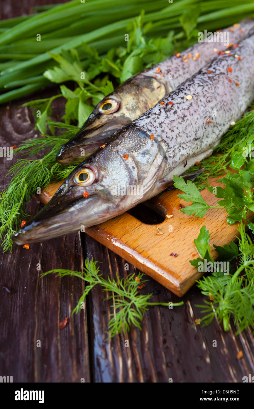 Head On Pike High Resolution Stock Photography and Images - Alamy