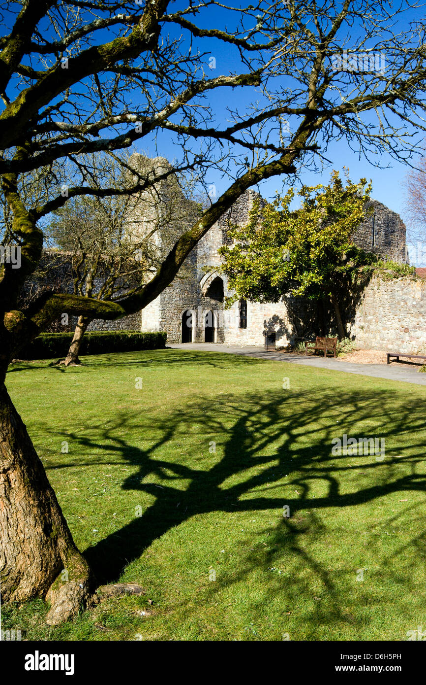 Gardens bishops palace llandaff cardiff hi-res stock photography and ...